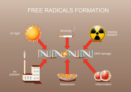 Free Radicals & Antioxidants: What Are They? - Springs Health Clinic ...